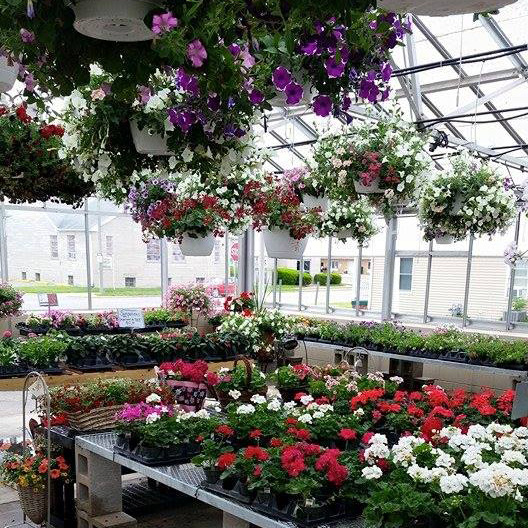 Flowers on Main - Georgetown - Danville Area Visitor's Bureau